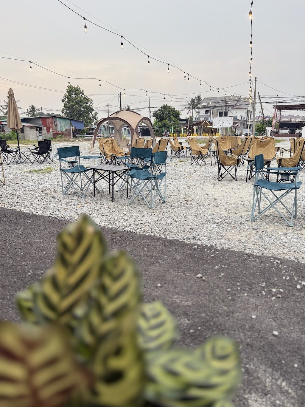 Coffee.Bay AK - Best Food Network